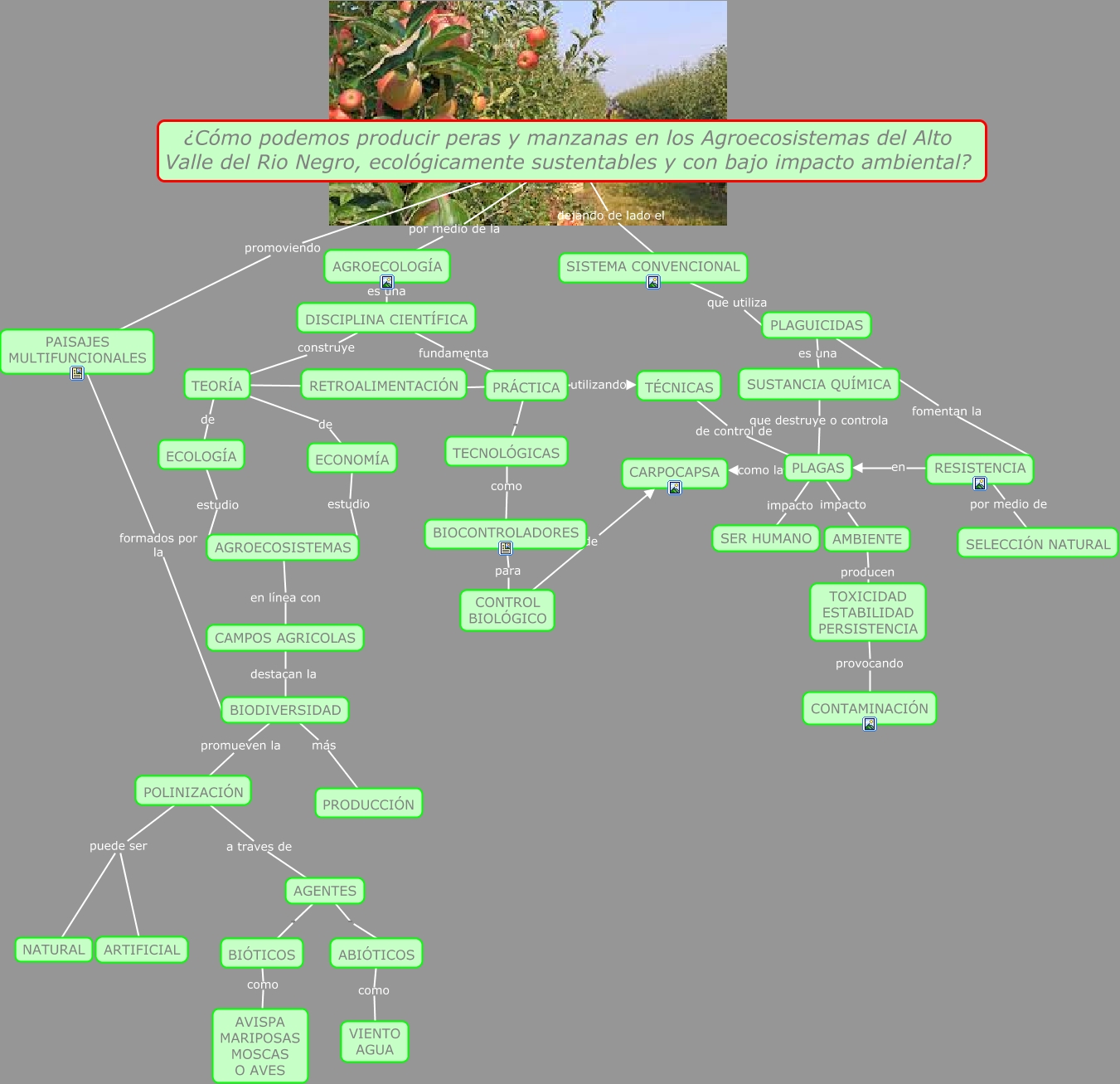 red conceptual naturales 3